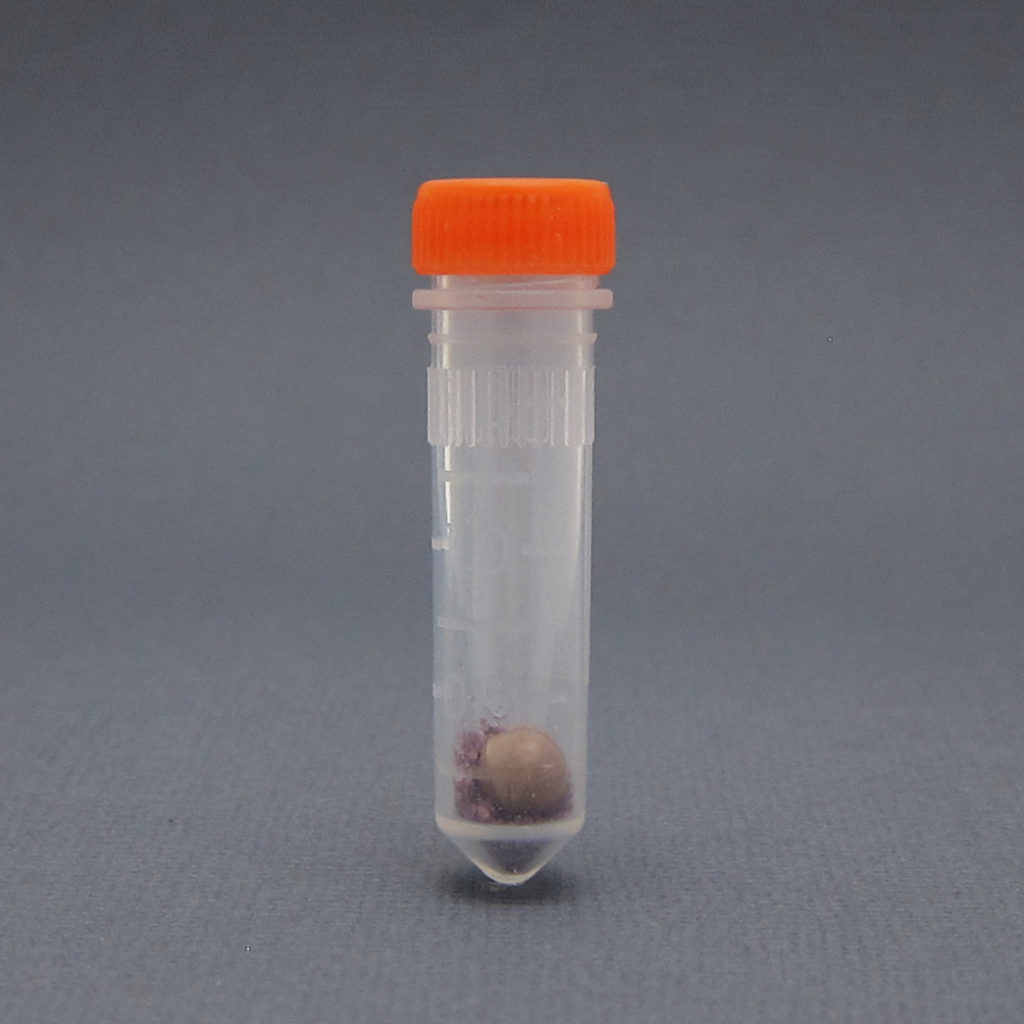 Lysing Matrix A, 2 mL Tubes – Rotaprep Inc.