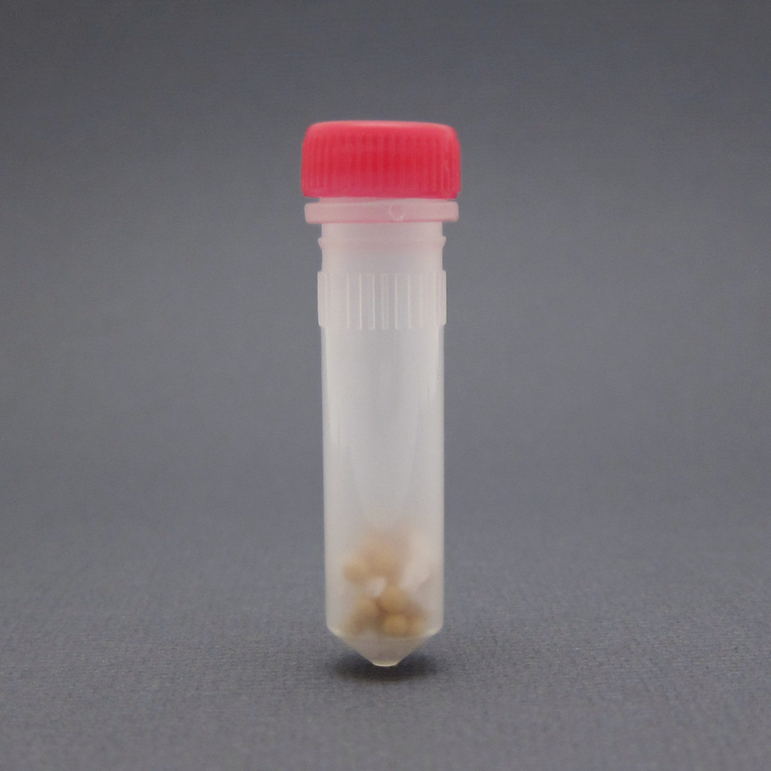 Lysing Matrix E, 2 mL Tubes – Rotaprep Inc.