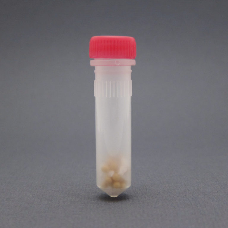 Lysing Matrix D, 2 mL Tubes – Rotaprep Inc.